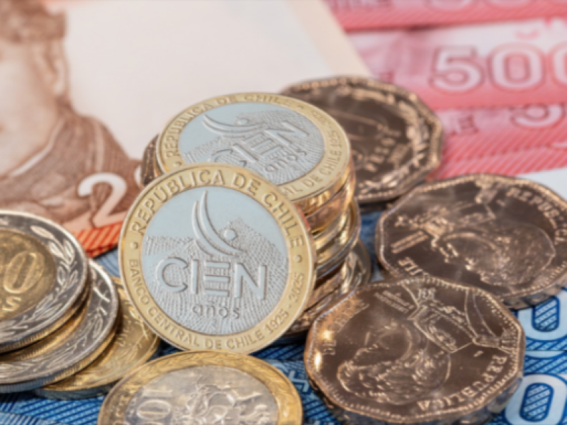 Cómo adquirir la nueva moneda de 100 pesos anunciada por el Banco ...